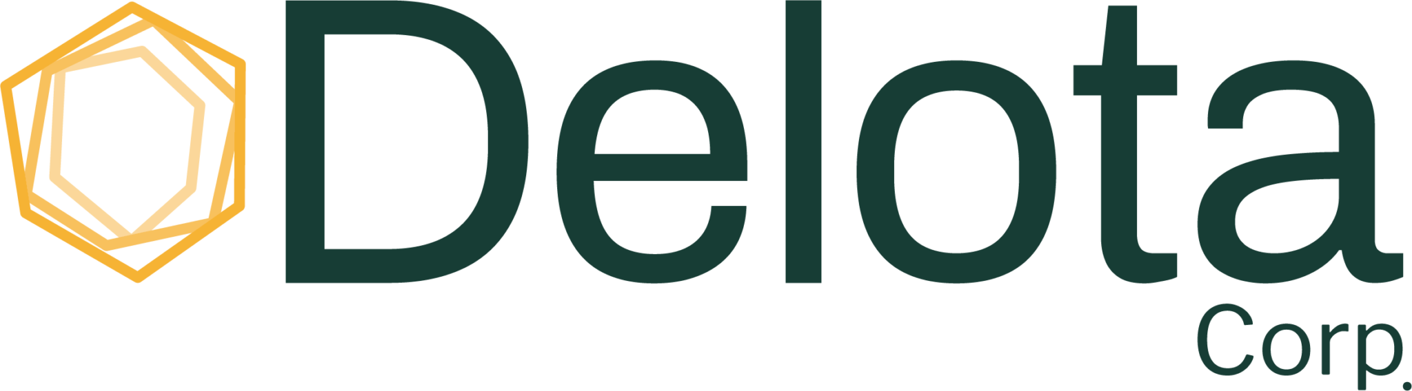 Home - Delota Corp
